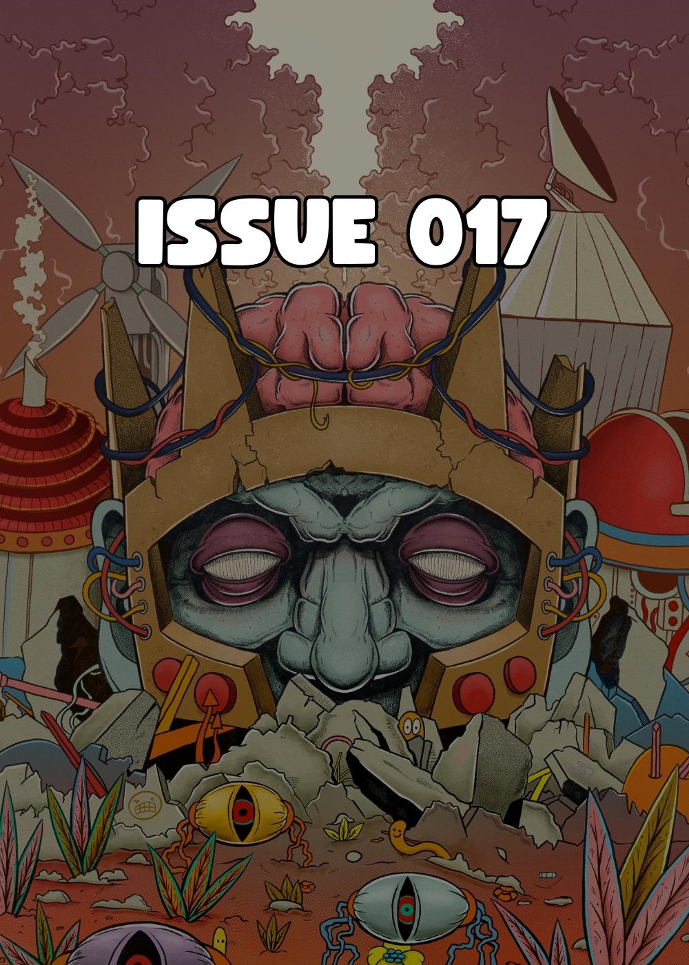 Issue 017